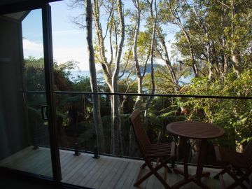 Kamahi | Stewart Island Accommodation - Church Hill
